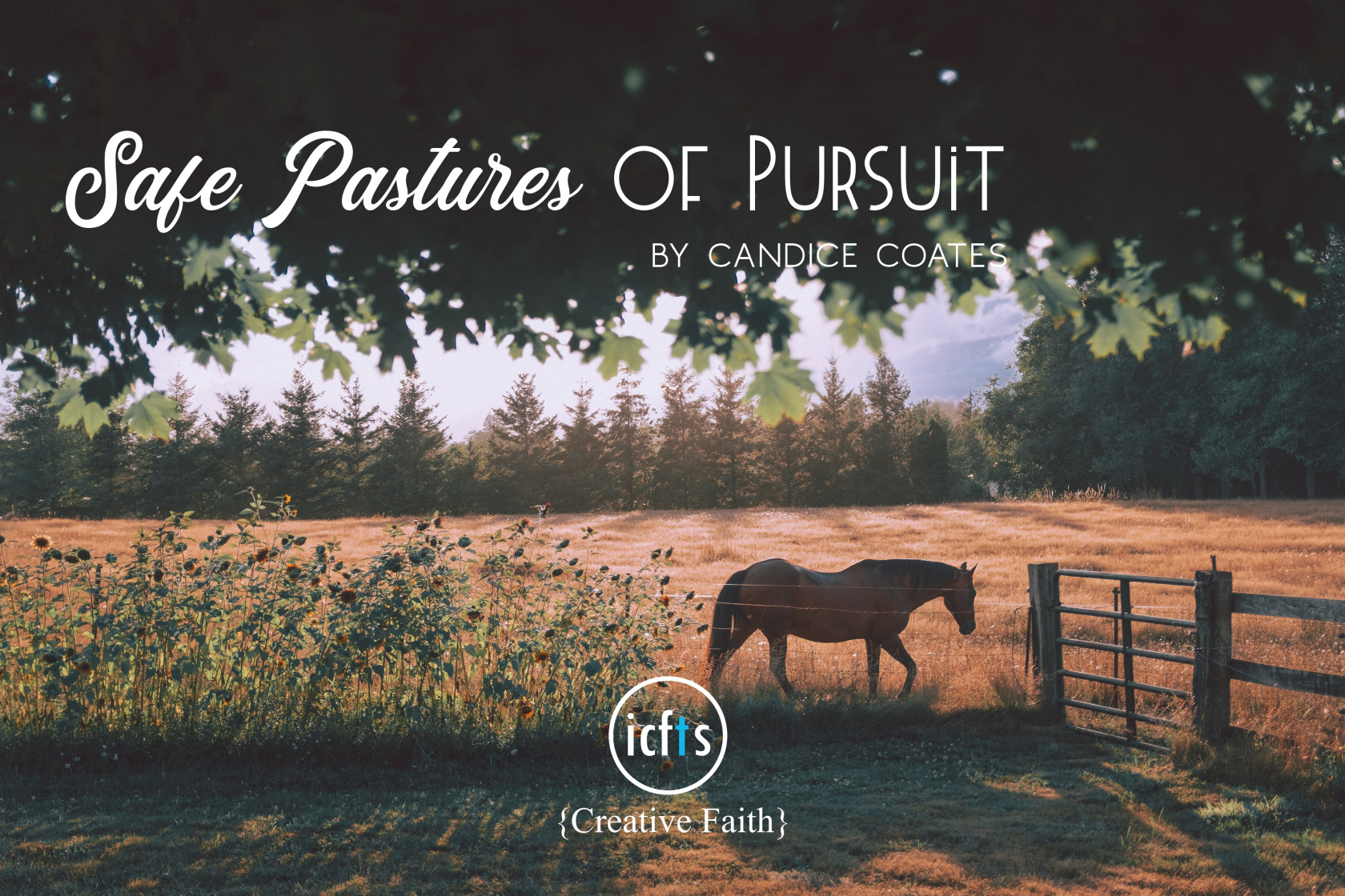 Safe Pastures of Pursuit: Faith for Creatives | Ambo TV